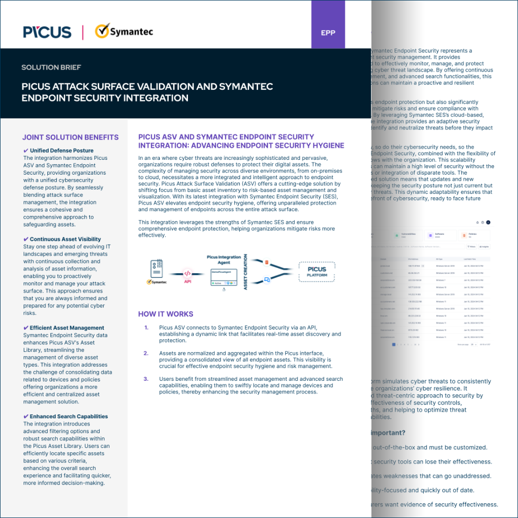 Symantec Integration Picus